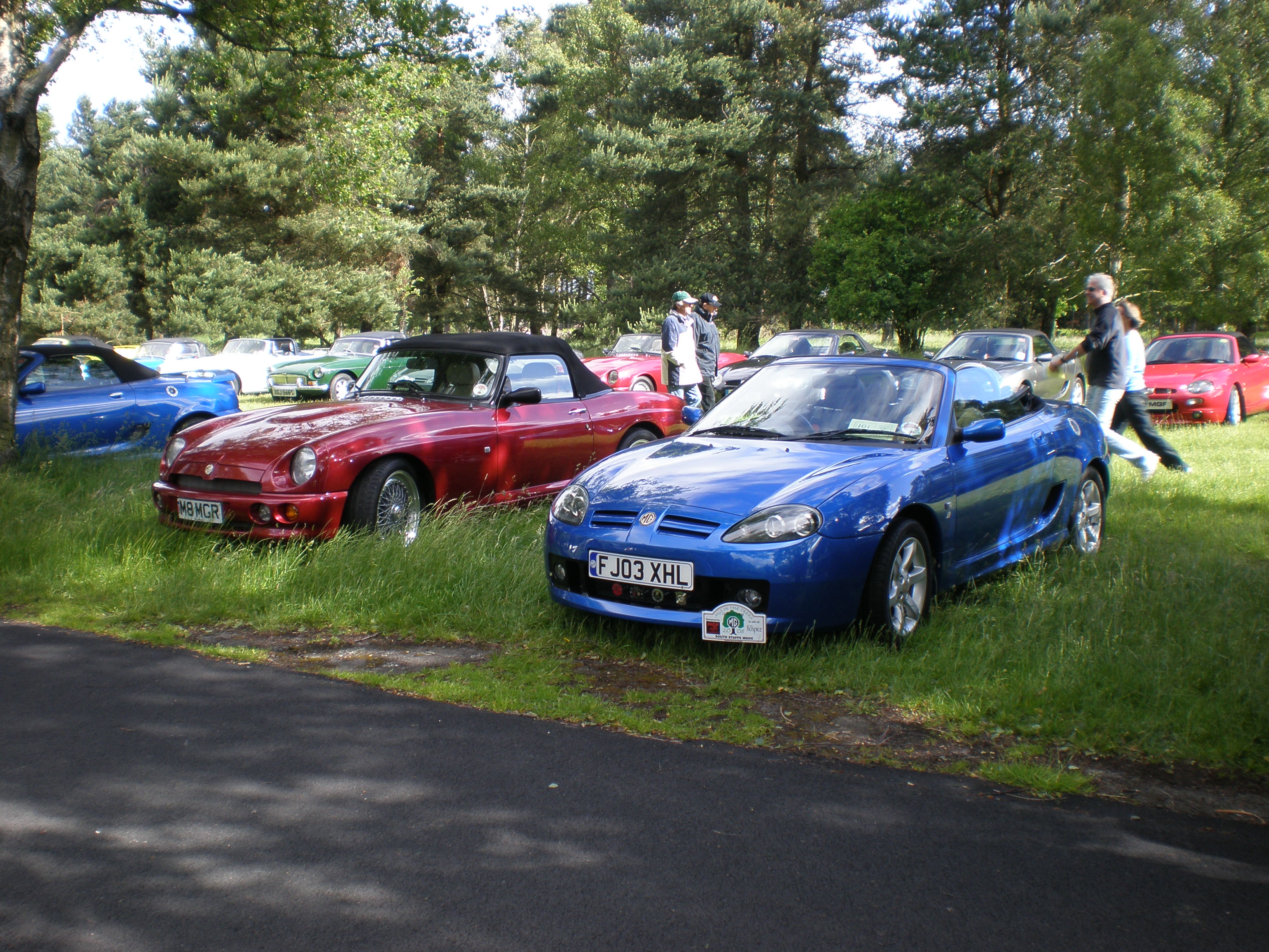 MGs in the trees 2008 | The MG Owners' Club