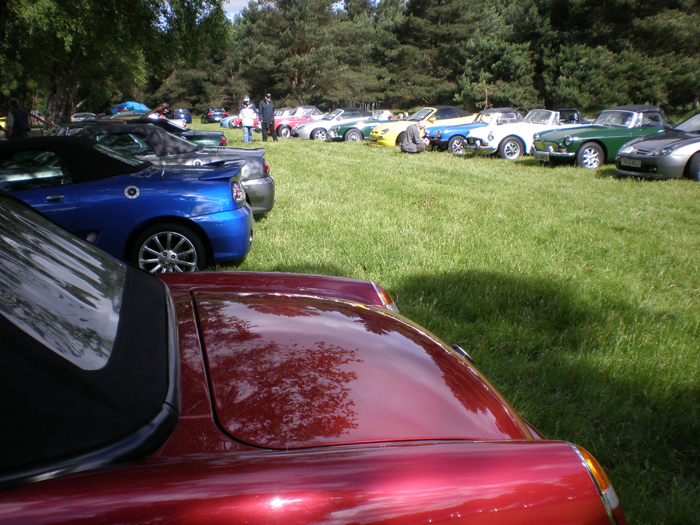 MGs in the trees 2008 | The MG Owners' Club